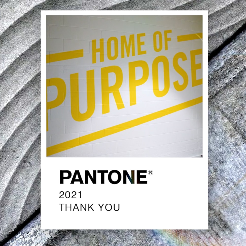 Putting Purpose and Color to Work in Business Transformation | BCG ...