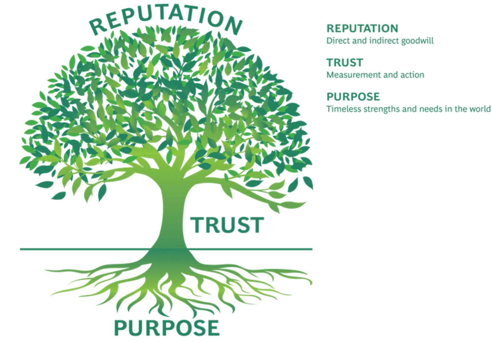 How to Take Your Company from Purpose to Trust to Lasting Value | BCG ...